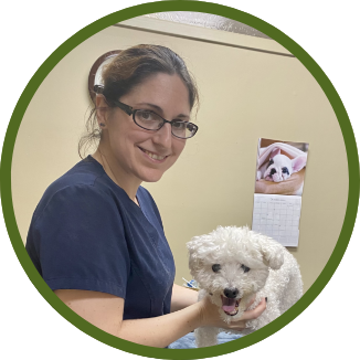 VetriProLine Connect